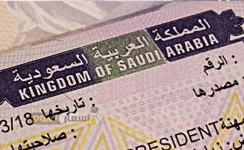 Saudi Arabia Unveils Instant e-Visa Platform